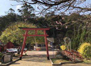 O que fazer em Santo Antônio do Pinhal: 12 atrações para ir!