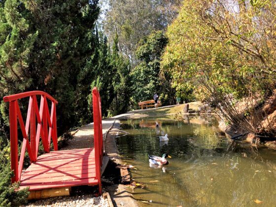 O que fazer em Santo Antônio do Pinhal: 12 atrações para ir!