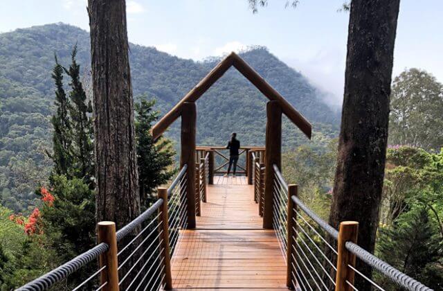 O que fazer em Santo Antônio do Pinhal: 12 atrações para ir!