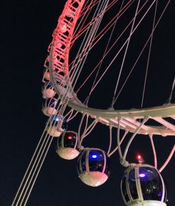 Roda Rico: Como visitar a roda-gigante em São Paulo