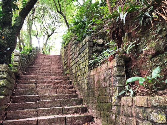 Caminhos do Mar: Veja Como visitar a Estrada Velha de Santos